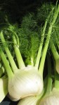 The Power of Fennel – Nutty Kitchen